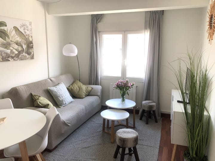 Luminoso Apartamento Recién Reformado - Santander