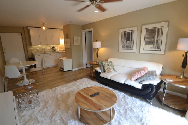 R-13 Fabulous Remodeled Unit In Central Location - Cincinnati