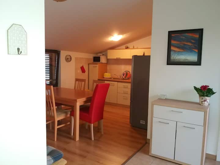 Apartment Luce Borik - Dugi Otok