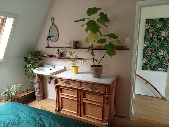 Gastenkamer In Molenaarshuisje - Deventer