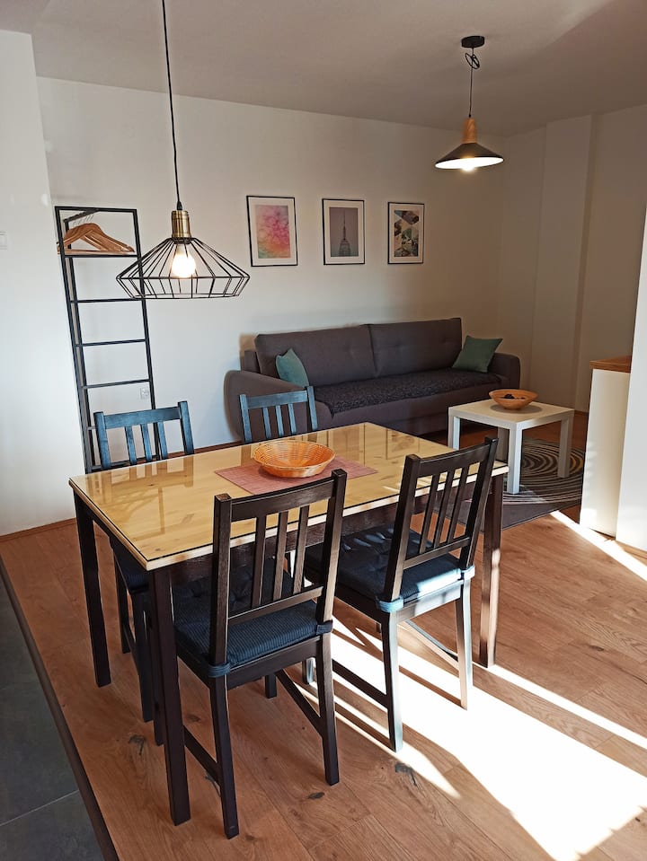 Beautiful View Apartment - Novi Sad