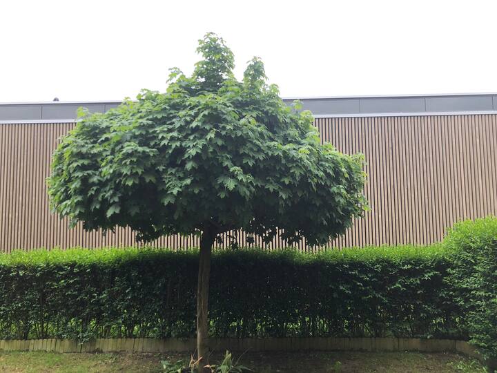 Moderne 2 Zimmerwohnung Mit Garten - Bregenz