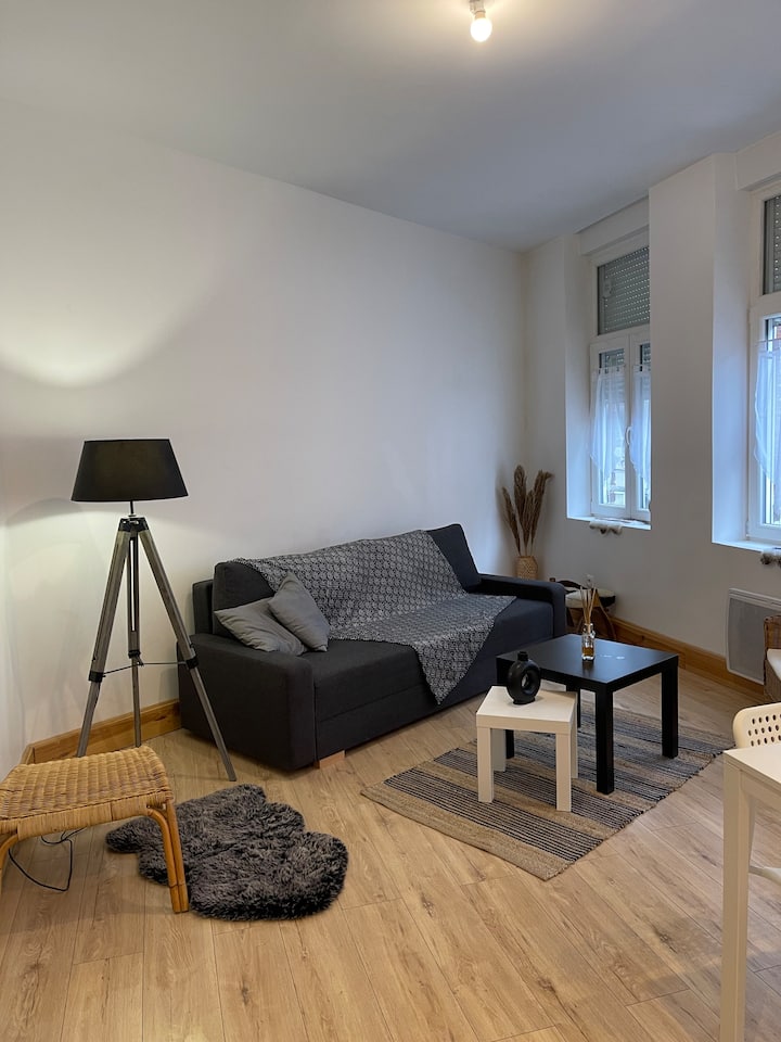 Lille Métro Caulier Appartement Neuf - Université de Lille