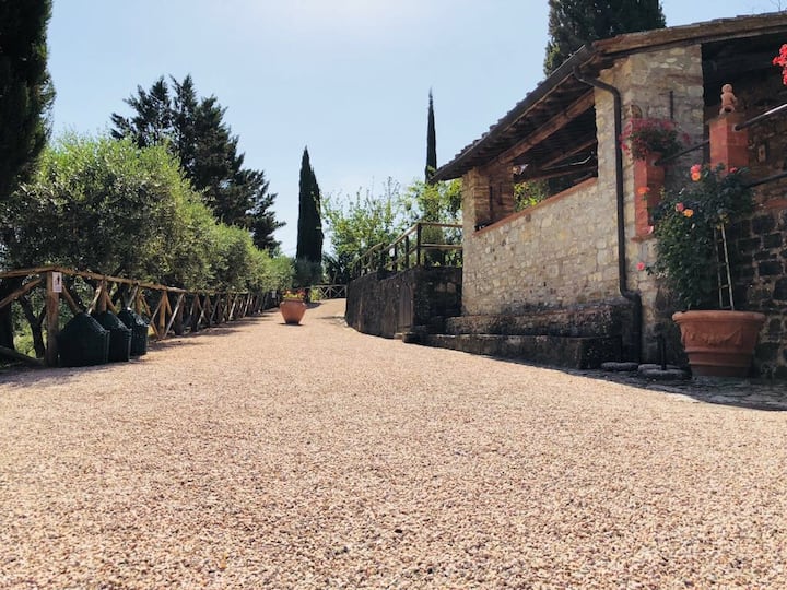 Colli Senesi - Borgo Il Bonagino - Radda in Chianti