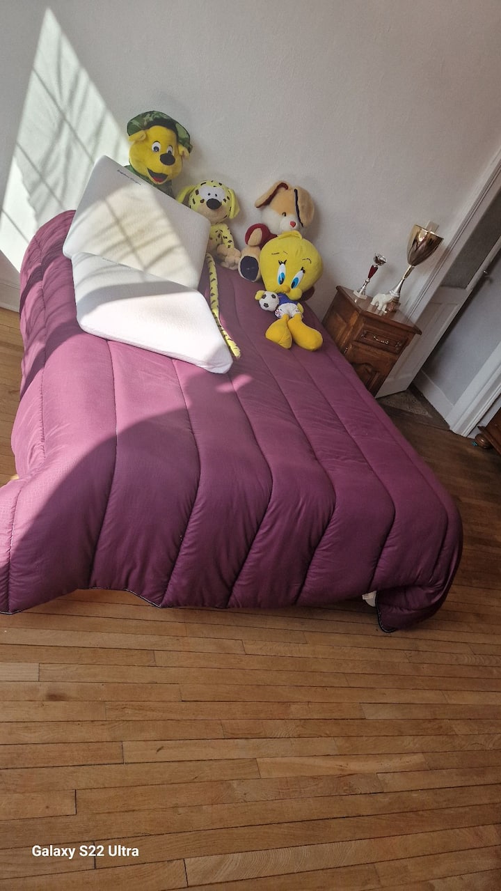 Bonjour. Soyez Les Bienvenus - Thionville