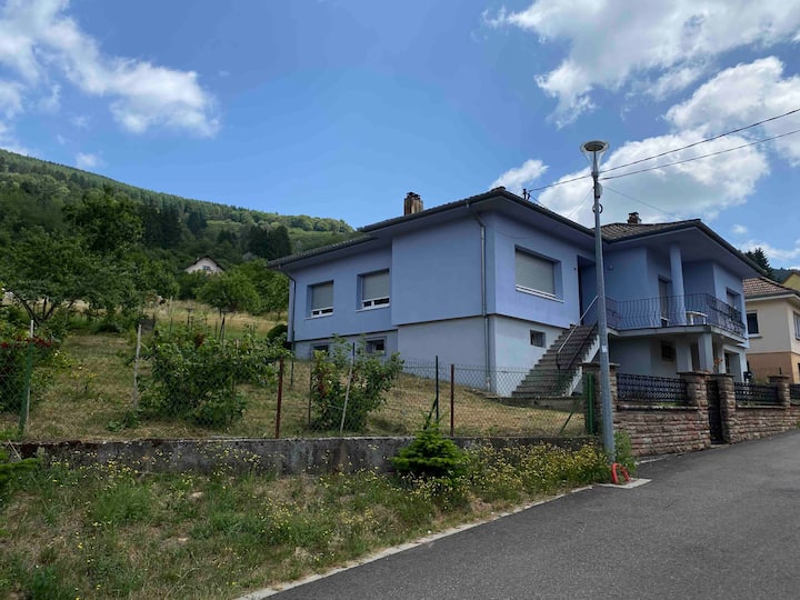Gîte Le P’tit Mintz - Belmont, France