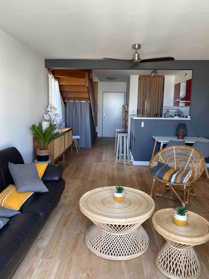 Appartement Cosy à La Saline Les Bains - La Réunion