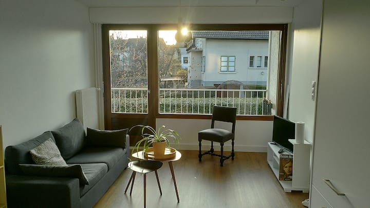 Appartement Avec Balcon - Seynod