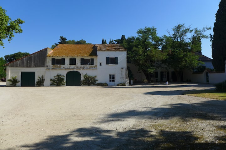Le Védeau - Mitten In Der Camarague - Plage Salin de Giraud