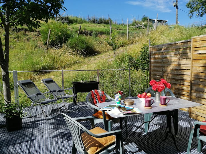 Le Puy Mary : Grand Studio Avec Terrasse - Château du Sailhant