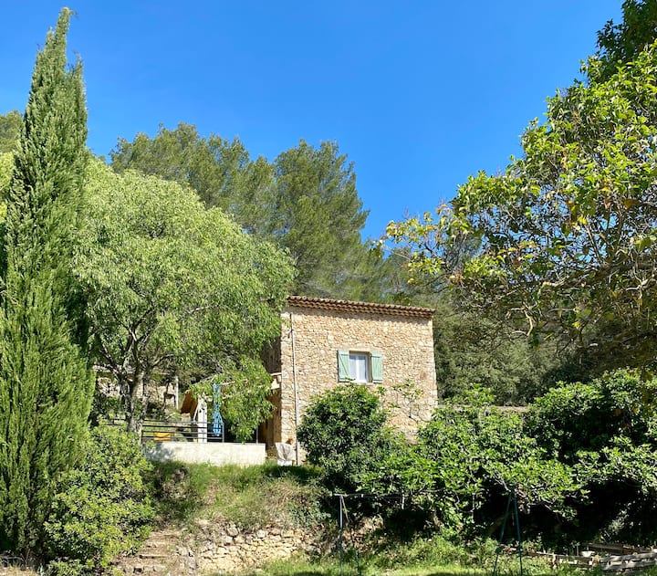 Paisible Bastidon Provençal En Campagne 4 Prs Max - Salernes