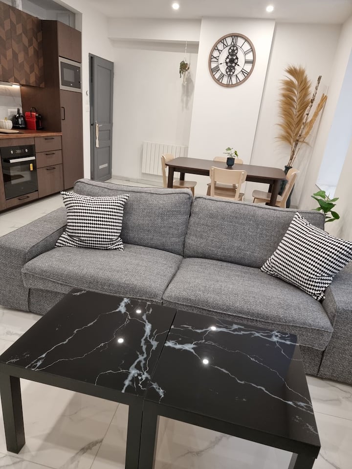 Metz : Superbe Appartement Rénové,lumineux Et Cosy - Metz