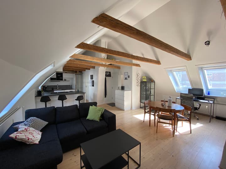 Private Room In Beautiful Penthouse- Central - Aarhus