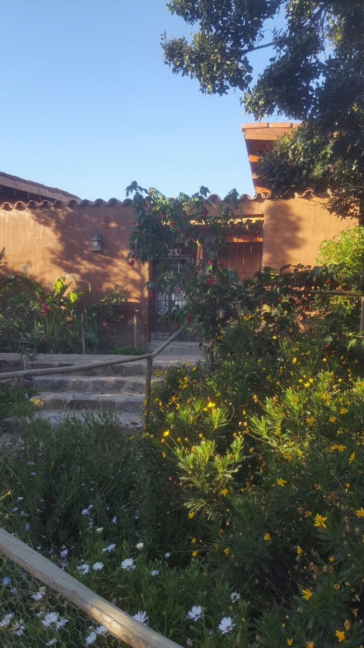 Cozy Country Home - Lampa