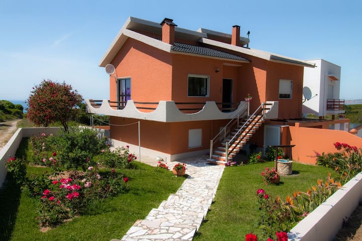 Palm Tree House - São Martinho do Porto