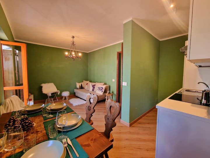 Mountain Apartment - Frabosa Soprana