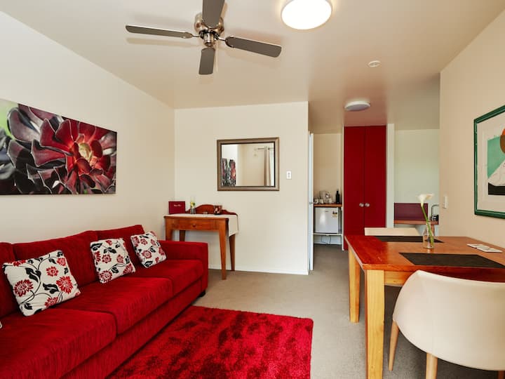 Aeonium At Lemon Tree Lodge - Kaikōura