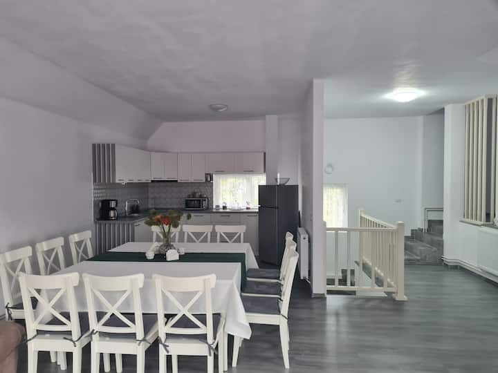 Alio Zărnești - Bran