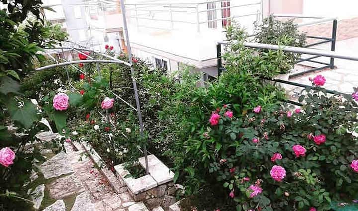 2a - Bio Garden Apartment - Saranda