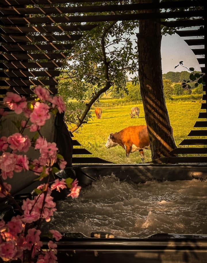 Escape Apartment, Hottub, Chinese Del. Over18 - Northern Ireland