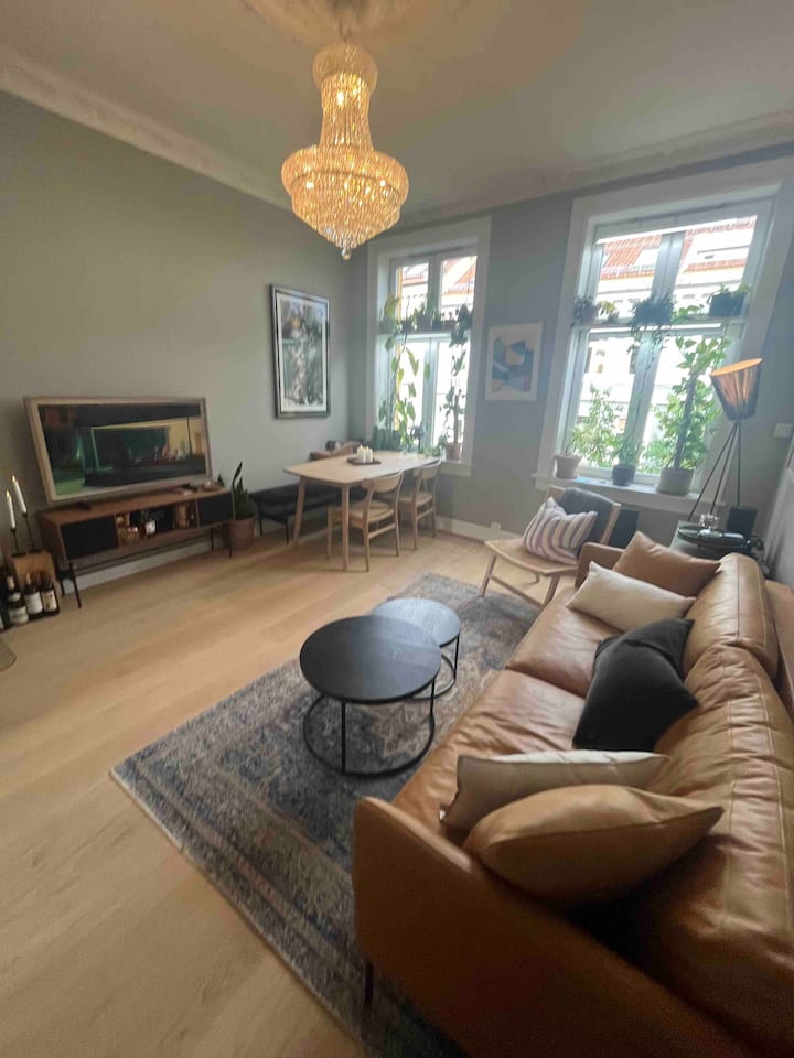 Charming 4th Floor Apartment In Grunerløkka - Oslo