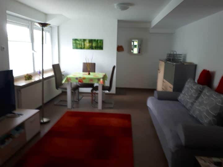 3-zkb-fewo In  Heidenfahrt/ingelheim Am Rhein - Eltville