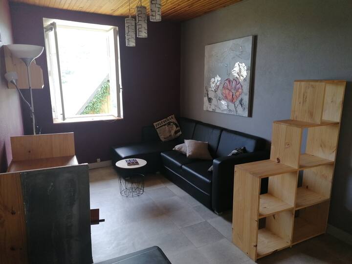 Appartement Cosy Dans Village Calme - Murol