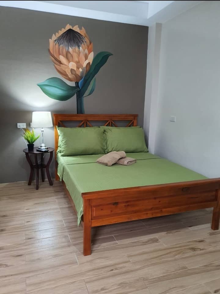 303*luis Miguel*budget Rm*a/c*no Kitchen - Dumaguete