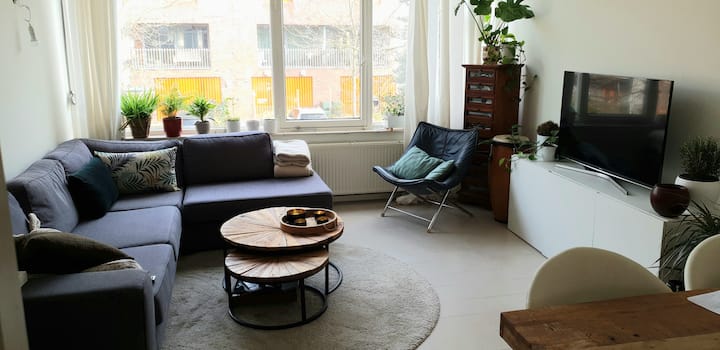 Cosy Apartment Near Amstetdam For Cat Lovers - Amszterdam