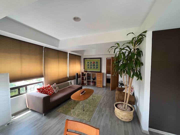 Nice Furnished Apartmt In Mex City- Roma Norte - Mexico City