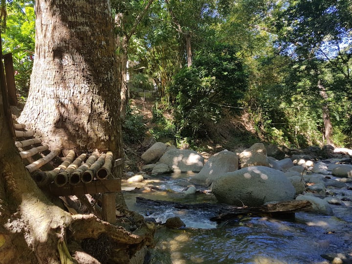 Villa Epicuro - Descanso Y Naturaleza Plena - Minca