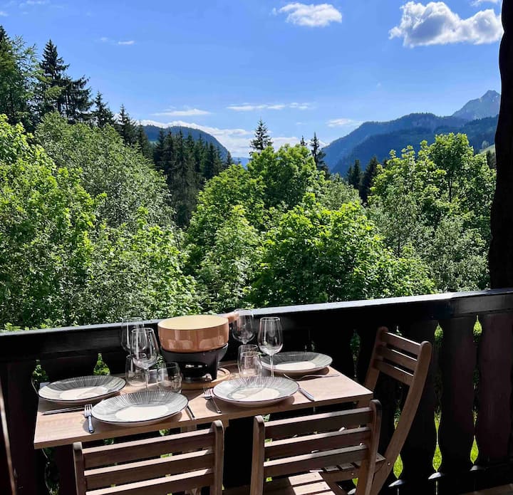 Superb Located Charming  Apartment (4-6 P) - Les Gets