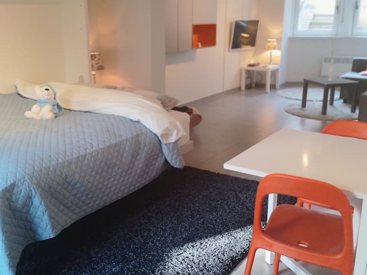 Residence "Rachel & Georges" - Veurne