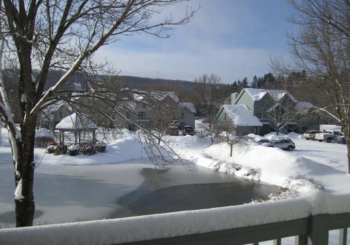 Wildflower 48 - Pond View Ellicottville New York - Ellicottville, NY
