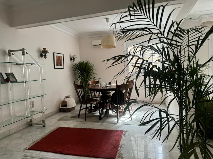 Pigeons Nest, Zamalek - Cairo