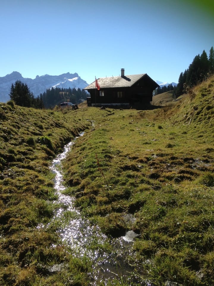 Chalet 1800m Met Auto Bereikbaar Vol Orchideeën. - Villars-sur-Ollon