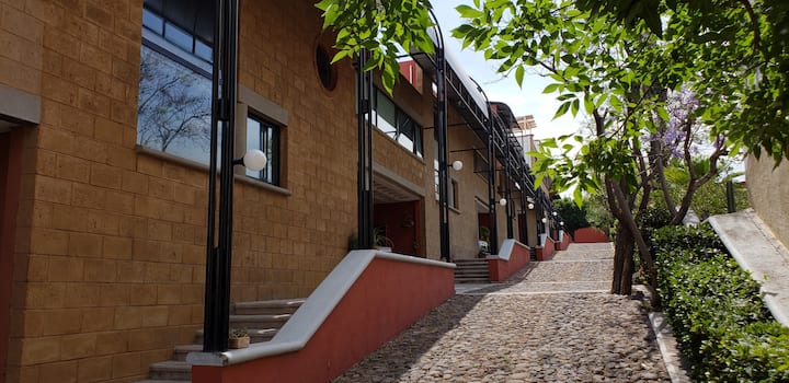 Meow Room - Querétaro
