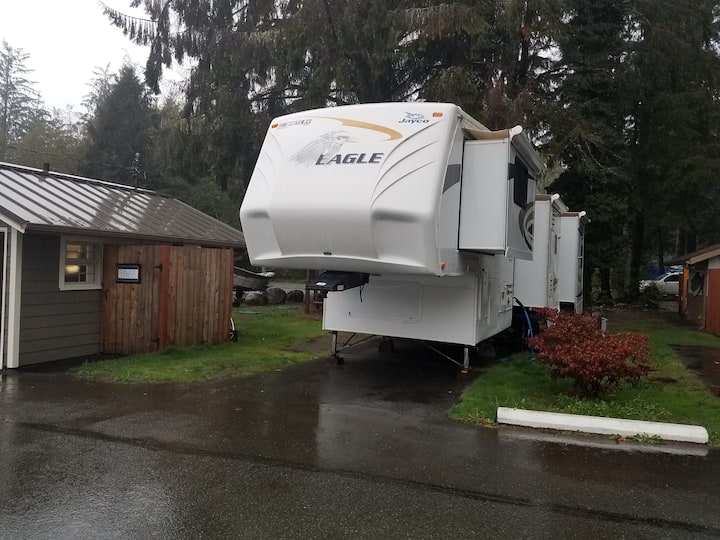 Eagle Rv #1 - 福克斯