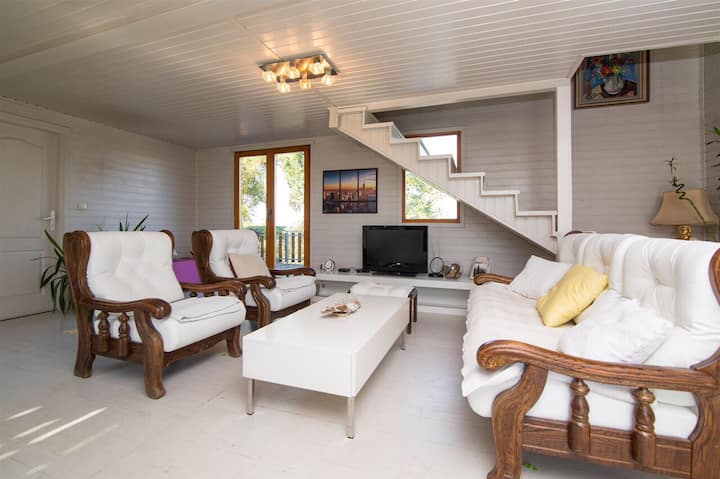 Vila Na Savi - Belgrade