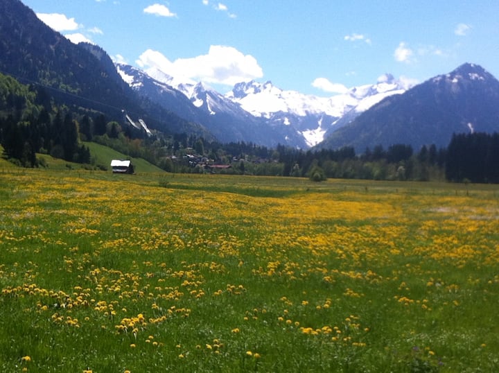 Direkt Oberstdorf Frühjahr Ski Wandern Zug - Oberstdorf