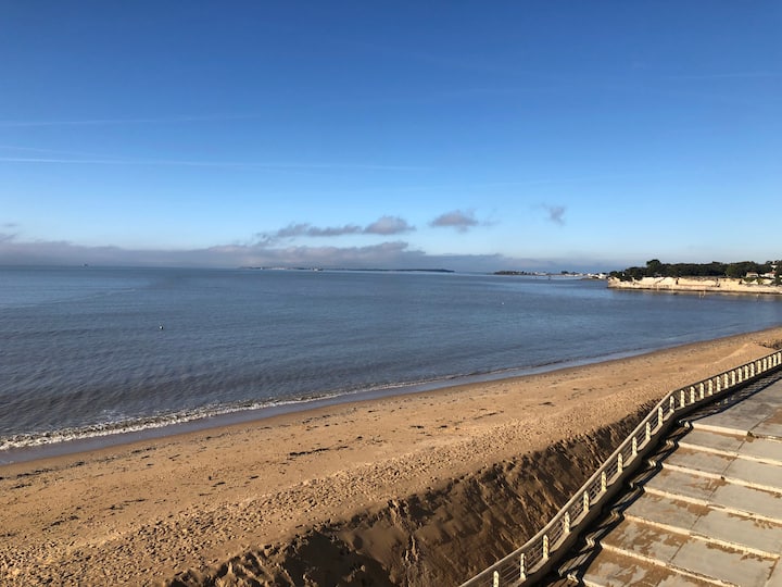 Niniche Face à La Mer ! - Fouras