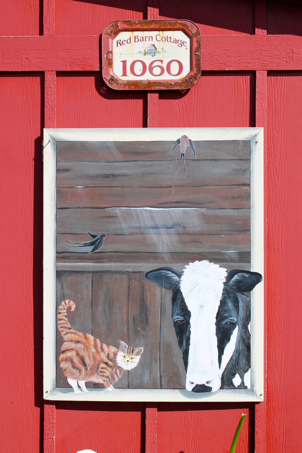 Red Barn Cottage, Cozy and Charming - Guesthouses for Rent in Ferndale ...