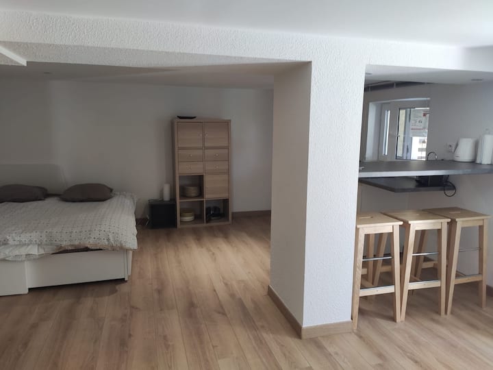 Grand Studio En Centre Ville - Clermont-Ferrand