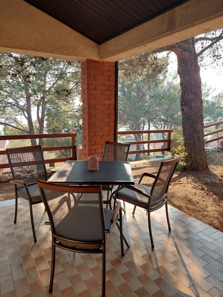 Gavza Joy
Perfect Place By The Sea - Cres