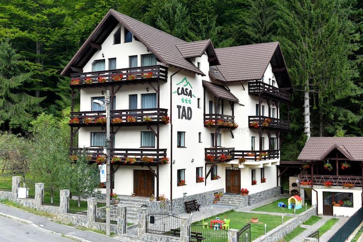Enjoy The Mountain View At Luxurious Mansion/30pax - Predeal
