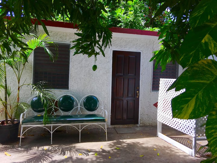 Kingston House Rentals | Homes and More | Airbnb