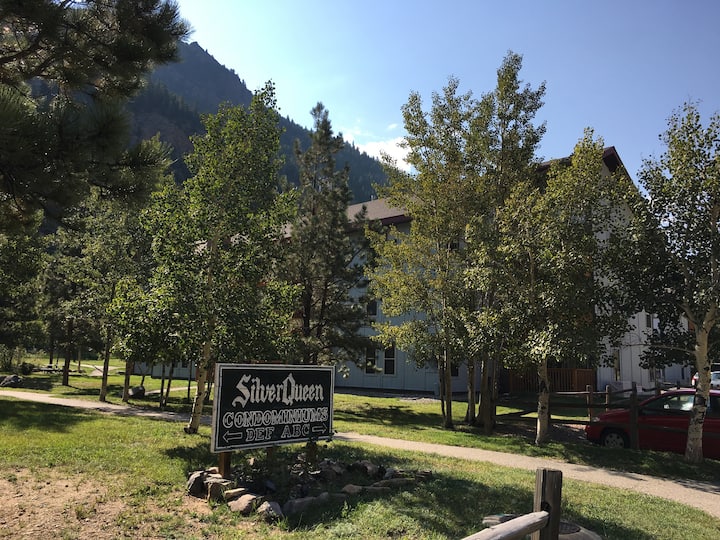 Saxon Mountain Condo Sleeps 8 - Georgetown, CO