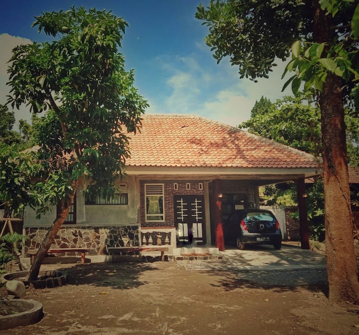Griya Kidul Homestay. Simple - Unique - Friendly - Kretek