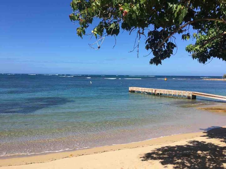 Carmen & Mario’s Apartment In Dorado! - Dorado