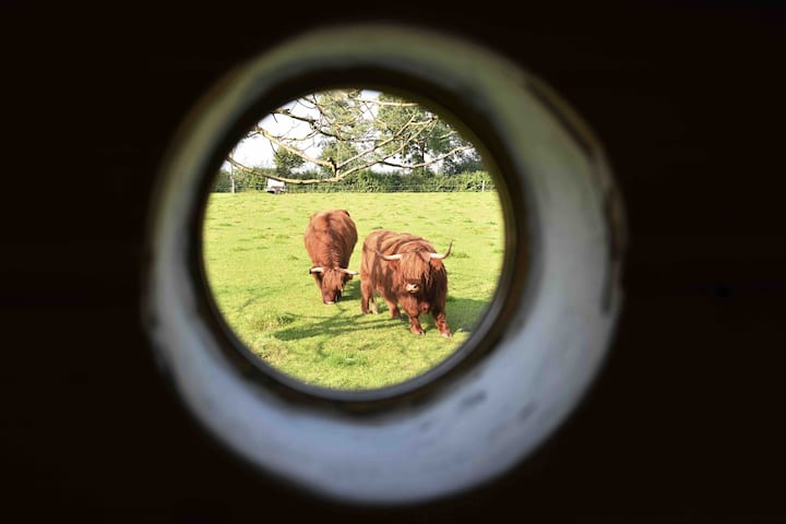 Landhaus-nordangeln, Ferienwohnung Ankerplatz - Flensburg